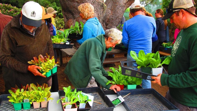 Ocean View Farms Community Garden